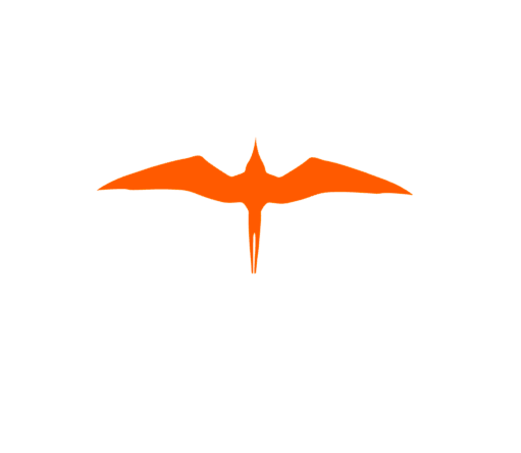 'IWA Bird Sticker – 'IWA Surf Co. x H ICON808